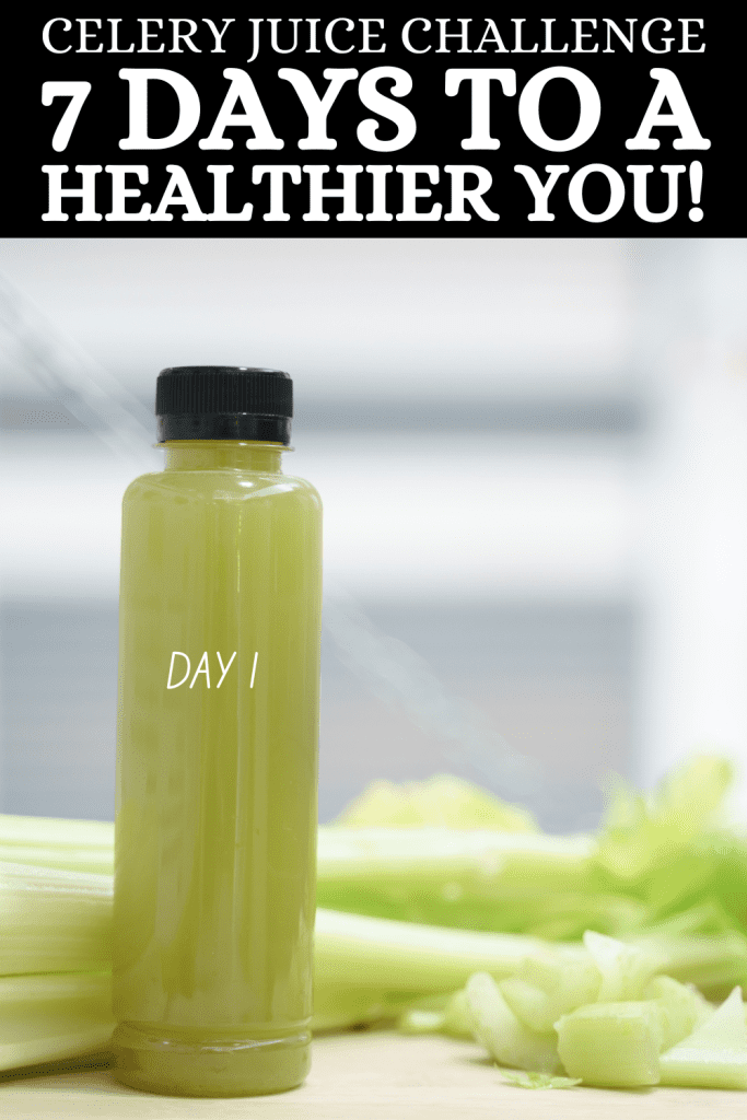 Dive into Celery Juice: Your Beginner’s Guide to Wellness Delights ...